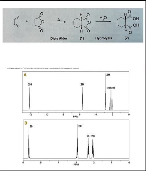 Solved Cycloaddition Diels Alder Reaction And Hydrolysis Of