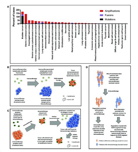 A Fgfr3 Gene Alterations By Cancer Type Based On Available Data Download Scientific Diagram