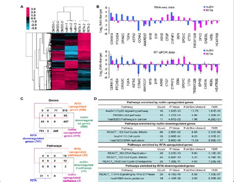 Analysis Of RNA Sequencing Data Revealed Distinct Transcriptional Download Scientific Diagram