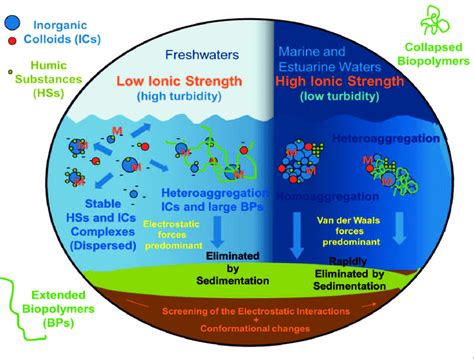 Major Colloidal Interactions And Aggregation Processes Relevant In