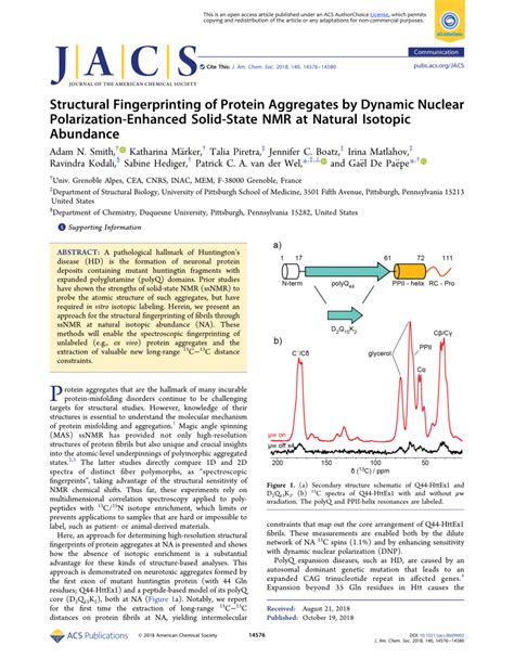 Pdf Structural Fingerprinting Of Protein Aggregates By Dnp Enhanced