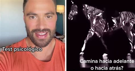 El Caballo Camina Hacia Adelante O Hacia Atrás” El Reto Viral Que