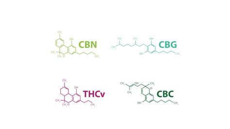 Minor Cannabinoids An Intro And Their Role In Cbd Products Cbdthinker