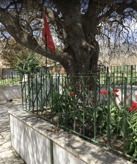 Seydi Vakkas Hazretleri Türbesi Atlasislamica