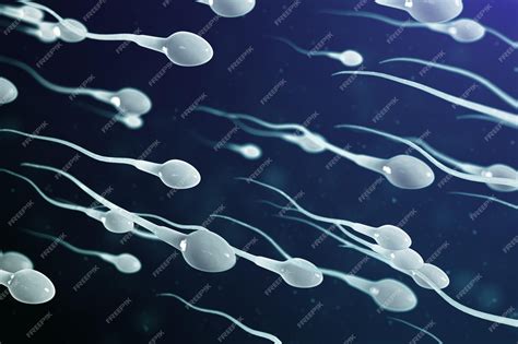 Premium Photo 3d Illustration Sperm Approaching Egg Cell Ovum