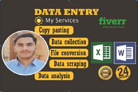 Do Professional Excel Data Entry Formatting And Analysis By Alihassan09766 Fiverr