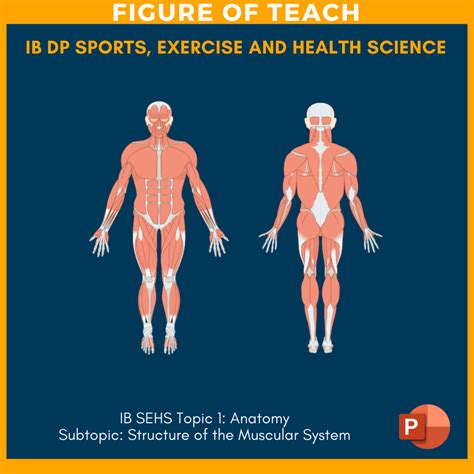 The Learning Load This Powerpoint Presentation Covers The Micro And Macrostructure Of The