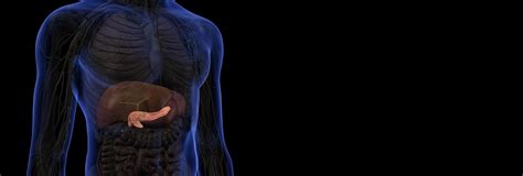 Mediclinic On Linkedin Spyglass System Offers An Ercp Upgrade