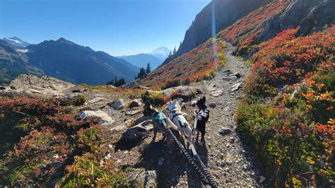 The Importance Of Language Commandprompt Inc