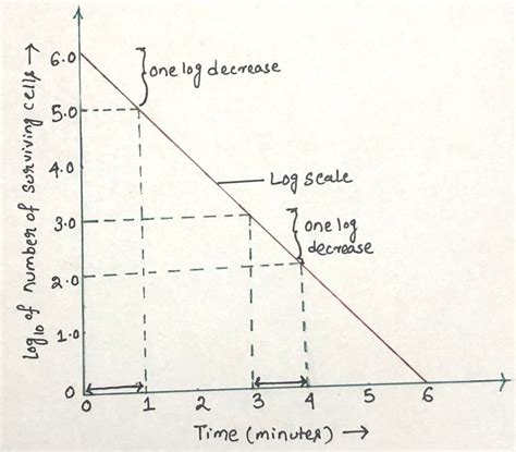 Temperature Controls Microbial Growth Discover Biotech
