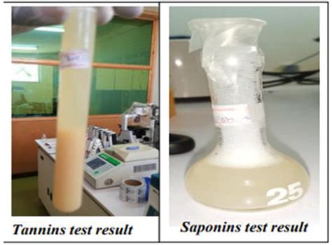Moderately Positive Test Results From Phytochemical Screening