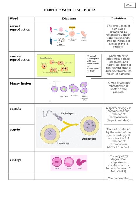 00ac Word List Heredity 00ac Heredity Word List Bio 12 Word