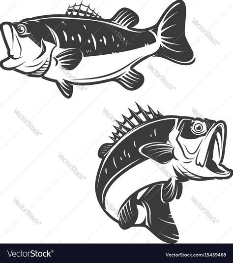 Bass Fish Clip Art