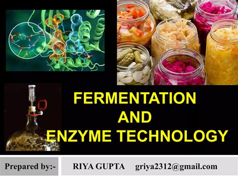 Fermentation And Enzyme Technology Pptx