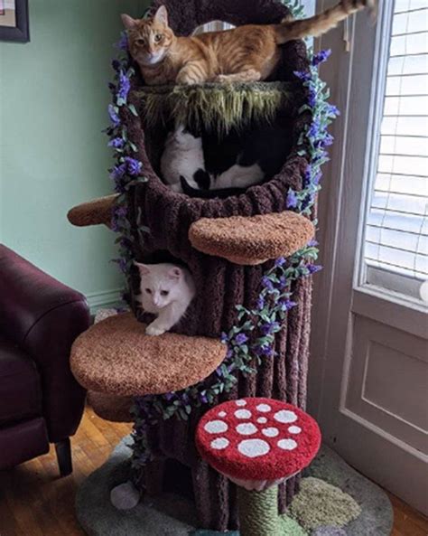 Unique Cat Tree With Mushroom Unique Cat Trees Cat Tree House Diy