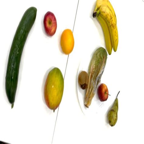 Second Project Object Detection Dataset By Waste Detection