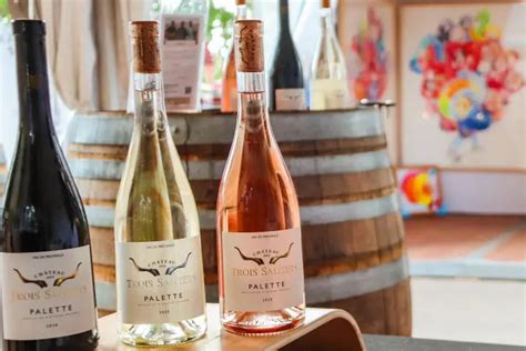 Provence Wine And Goat Cheese France Farm Experiences And Tours