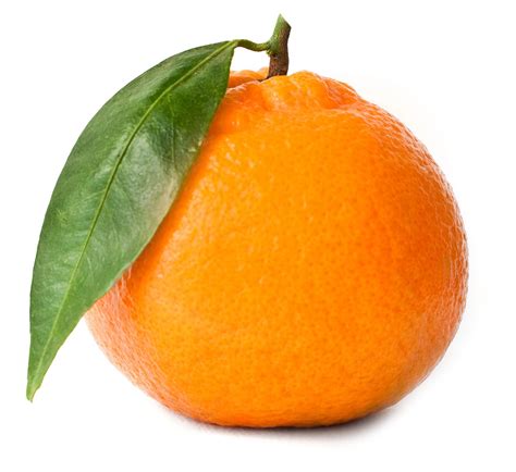 Mandarin Essential Oil Benefits Uses And Insights