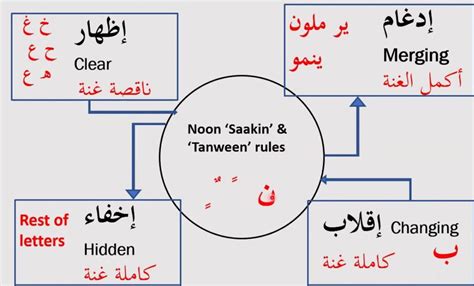Explore The Types Of Madd In Tajweed Quran Oasis