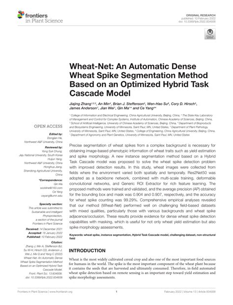 PDF Wheat Net An Automatic Dense Wheat Spike Segmentation Method Based On An Optimized Hybrid