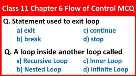 Class 11 Computer Science Chapter 6 Flow Of Control Mcq Questions And Answers Vision Academy