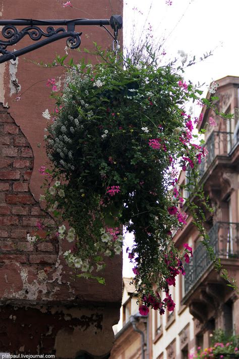 Страсти по Страсбургу Часть пятая Platpaul — Livejournal