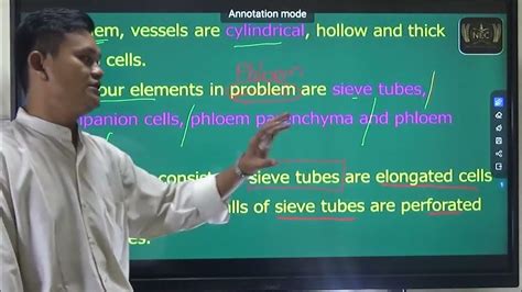 Chapter 3 Part 2 Youtube