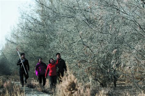 胡杨精神 薪火相传 新闻中心 天山网