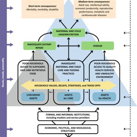 Conceptual Framework Of Malnutrition Adapted From Unicef 1990 And Black Download Scientific