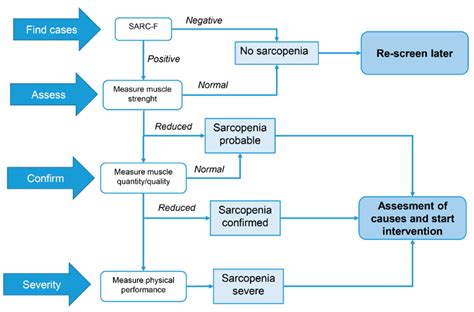 Ewgsop 2 Algorithm For The Diagnosis Of Sarcopenia Find The Case Make