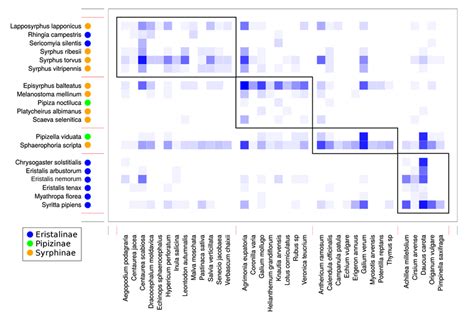 Modules Detected In The Plant Syrphid Flower Visitation Network Download Scientific Diagram