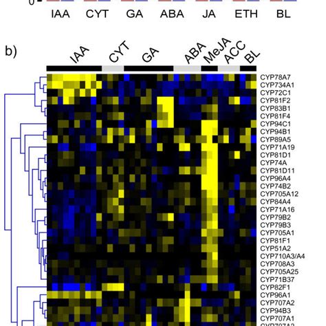 Hormone Responsive Expression Microarray Expression Data Were Download Scientific Diagram