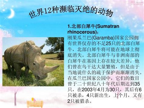 濒临灭绝的动物图片 濒临灭绝的动物图片以及资料 4 配图网