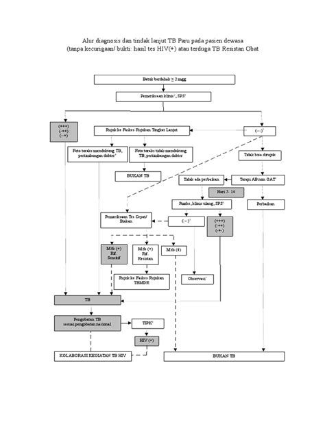 Bagan Alur Diagnosis Tb Pdf