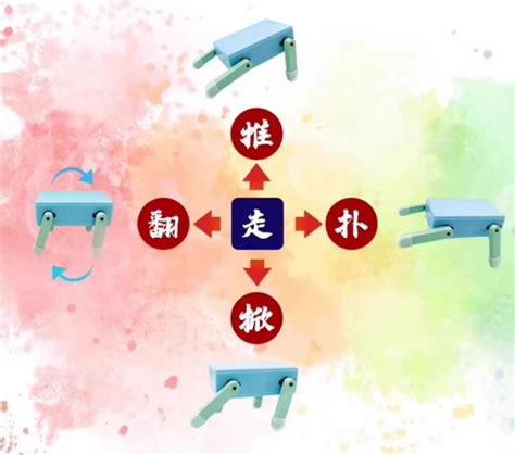 编程玩具小龟机器人 博派创意礼品小铺