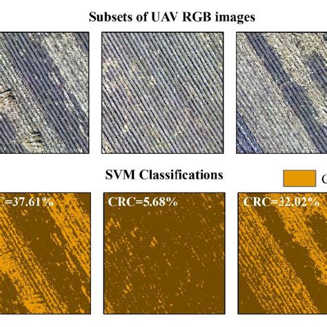 examples of support vector machine svm classification results the