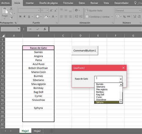 Mapaccino Como Agregar Lista Dinámica A Combobox De Formulario Vba Excel 2016