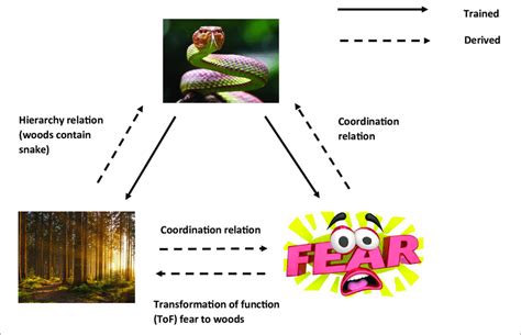 An Rft Interpretation Of A Simple Example Of Transformation Of Download Scientific Diagram