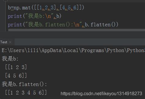 Python学习之numpy下的flatten函数flatten1 Csdn博客