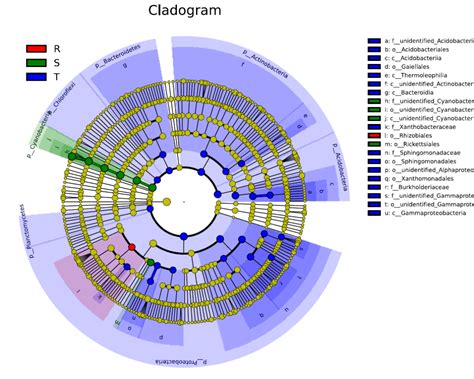 Seven Key Analytical Components In Microbiome Analysis Metware