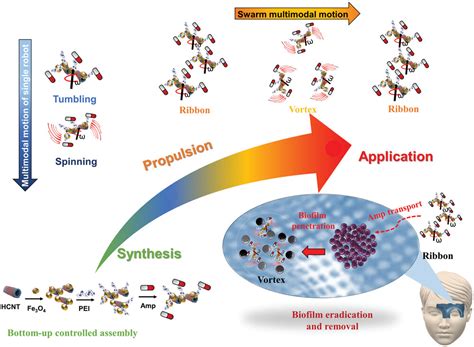 Multimodal‐driven Magnetic Microrobots With Enhanced Bactericidal