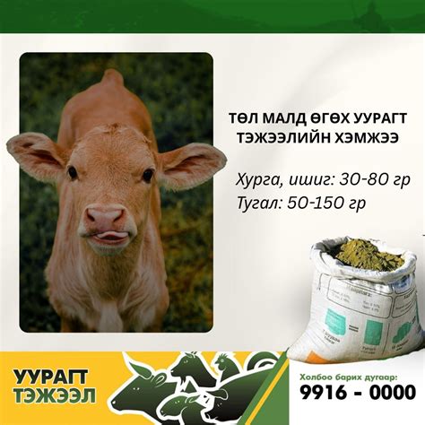 Уурагт Хэт их биш хэмжээнд нь өгч сурцгаая Уургийг өдөрт заасан хэмжээнээс хэтрүүлэн өгснөөр