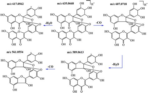 Main Fragmentation Pathway Of New Product A Download Scientific Diagram