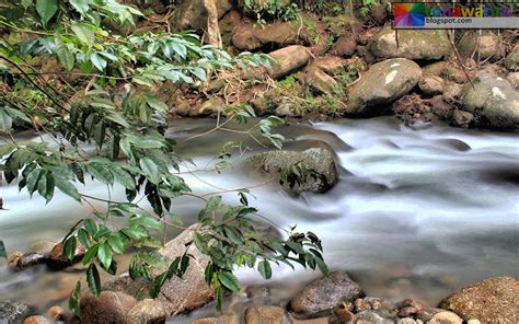 Gubuk Kecil Kembara Jalanan Jeram Di Kalumpang Hulu Selangor