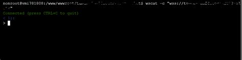 Websocket Connection Failed Issue In A Laravel Application Aapanel