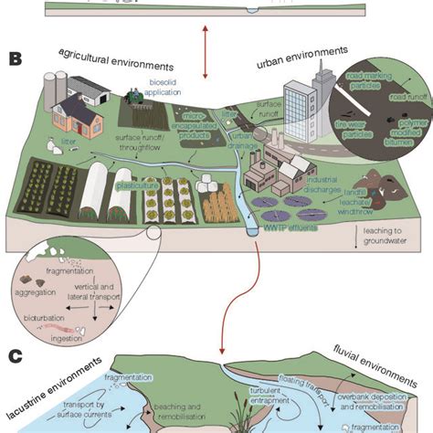 2 Reported Concentrations Of Twp In Terrestrial And Freshwater