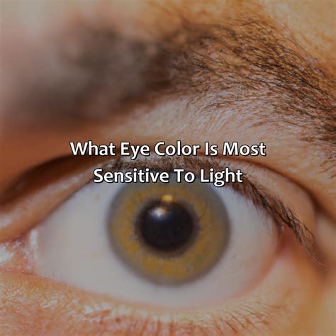 What Is The Most Beautiful Color In The World