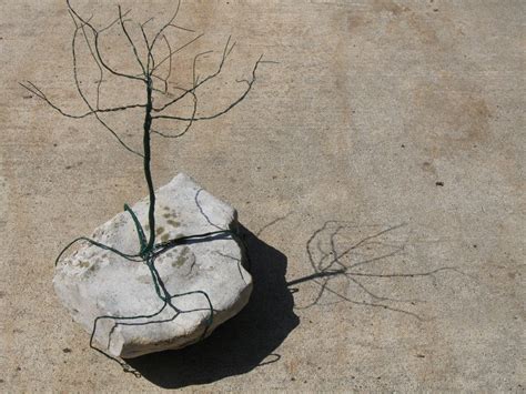 Wire Tree Prototype Ruminations