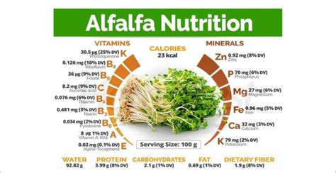 Figure E Nutritional Value Of Alfalfa Per Rrr Grams Of Serving Dv
