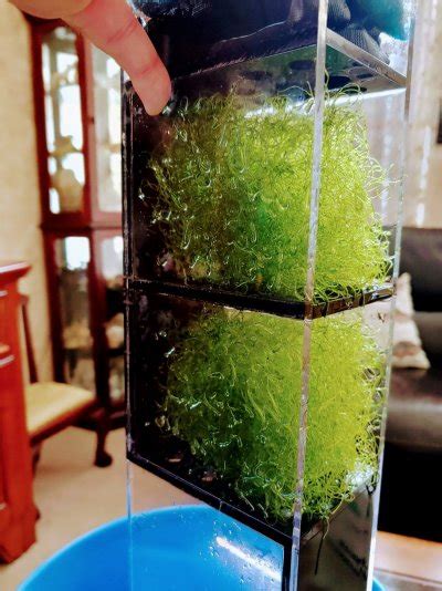 Aio Build Micro Reefs Aquariums 12 5 Gallon Aio Build Reef2reef